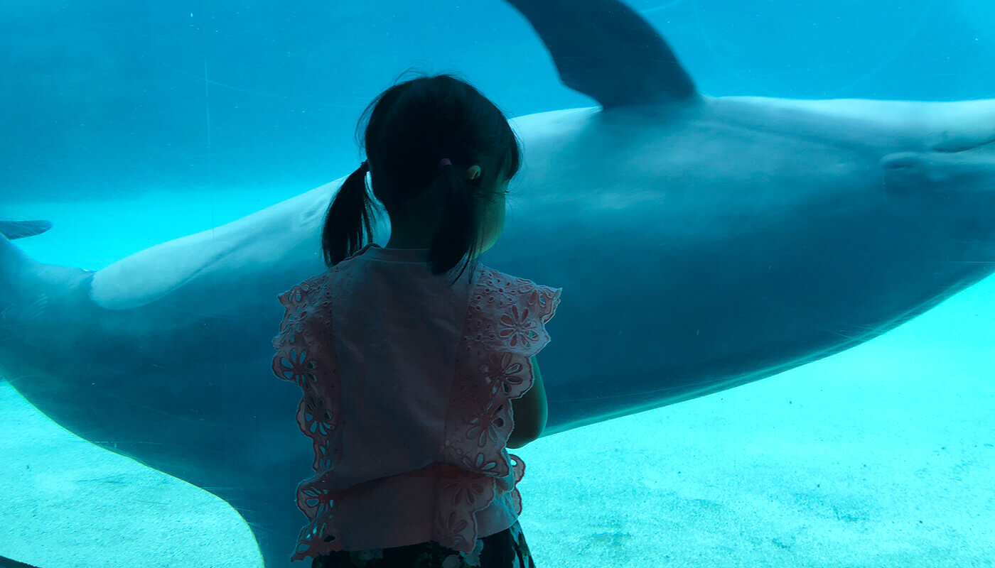 kodomo | 名古屋のホームページ制作 WEB制作会社｜株式会社ZoDDo